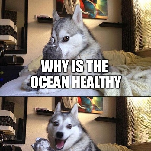 Horrible Pun Husky